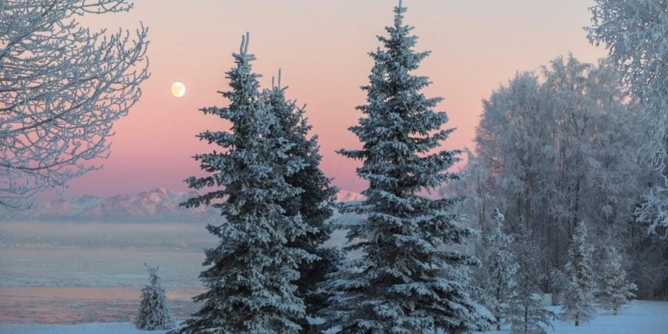 January 6: Facts & Historical Events On This Day - The Fact Site