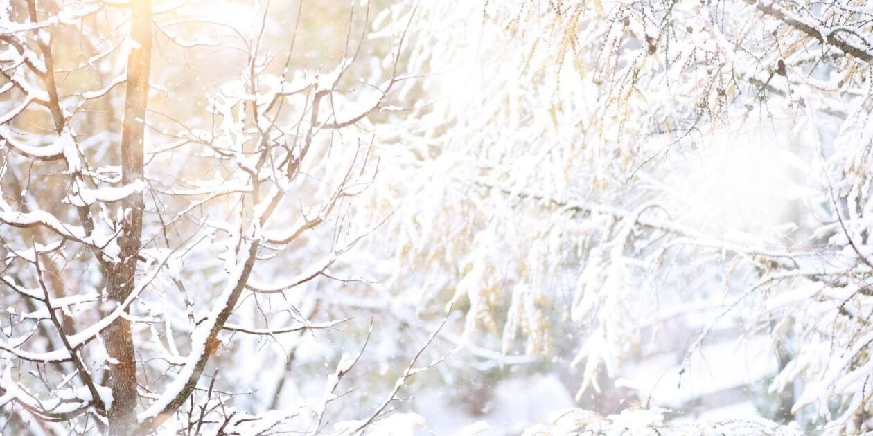 January 7: Facts & Historical Events On This Day - The Fact Site