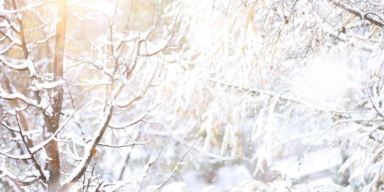 January 7: Facts & Historical Events On This Day - The Fact Site