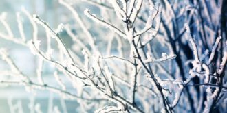 January 8: Facts & Historical Events On This Day - The Fact Site