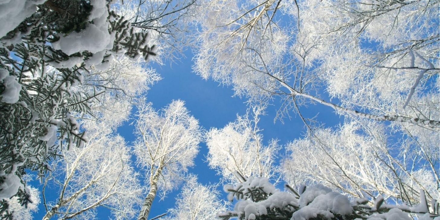 January 9: Facts & Historical Events On This Day - The Fact Site