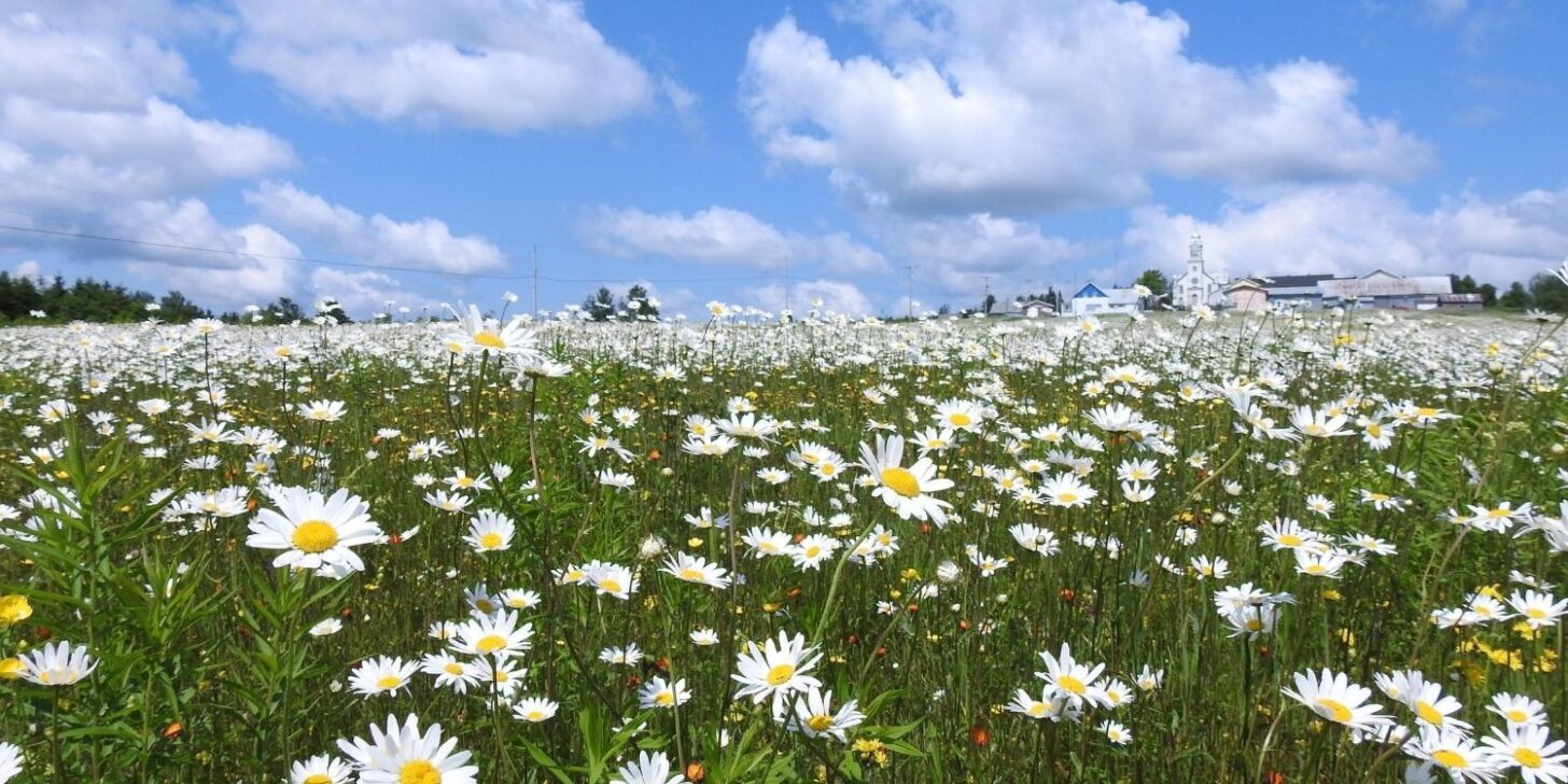 July 10: Facts & Historical Events On This Day - The Fact Site