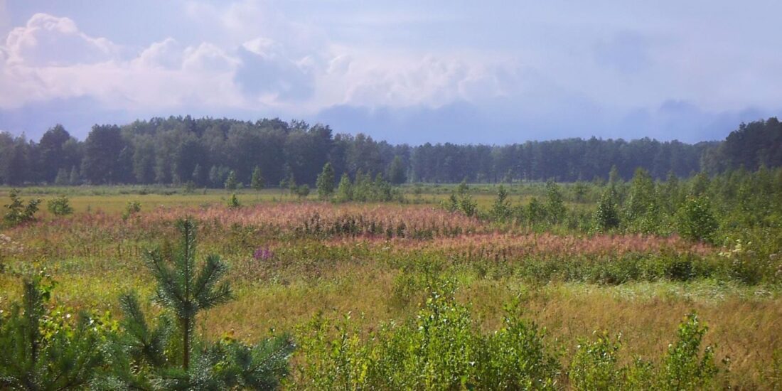 12 Fun Facts About Space Invaders - The Fact Site