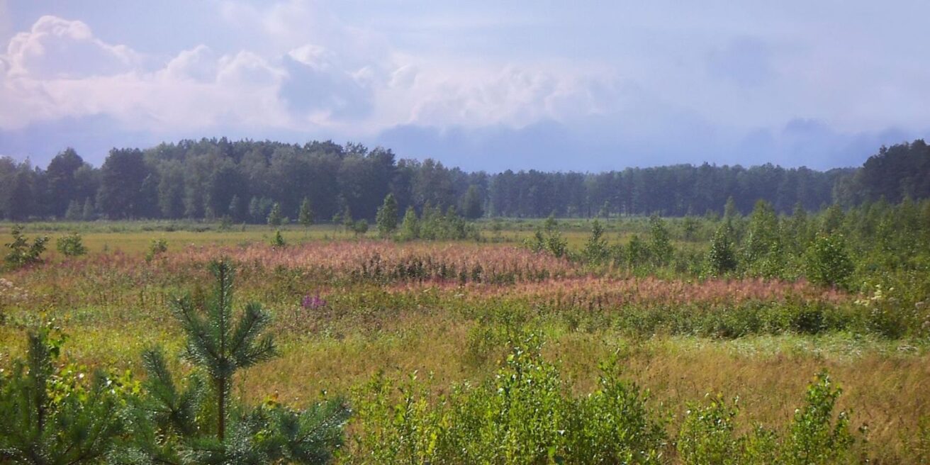 25 Facts About Wayne Rooney - The Fact Site