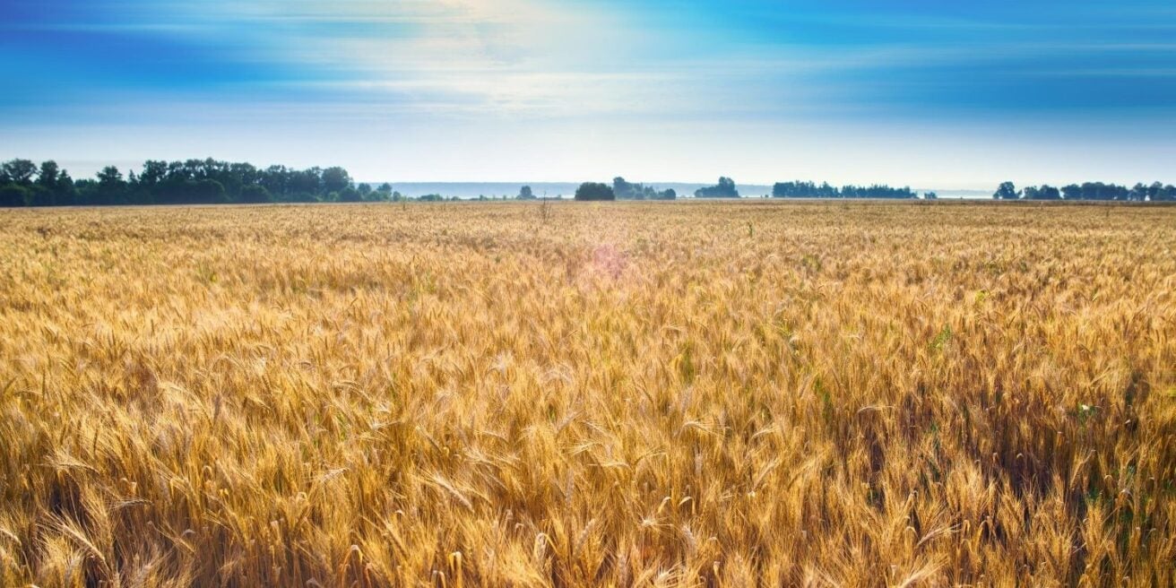 July 20: Facts & Historical Events On This Day - The Fact Site