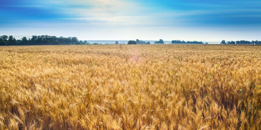 July 20: Facts & Historical Events On This Day - The Fact Site