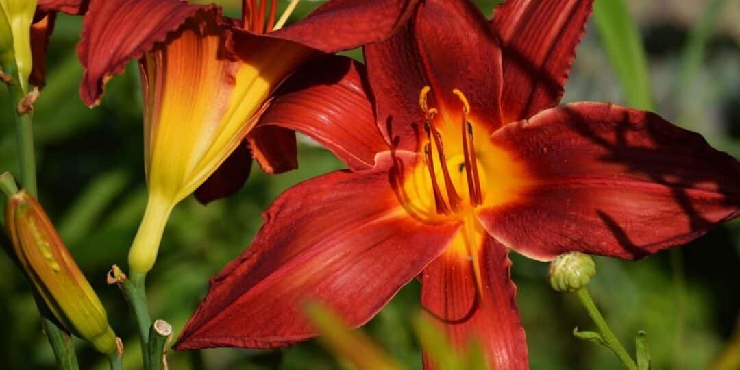 July 26: Facts & Historical Events On This Day - The Fact Site