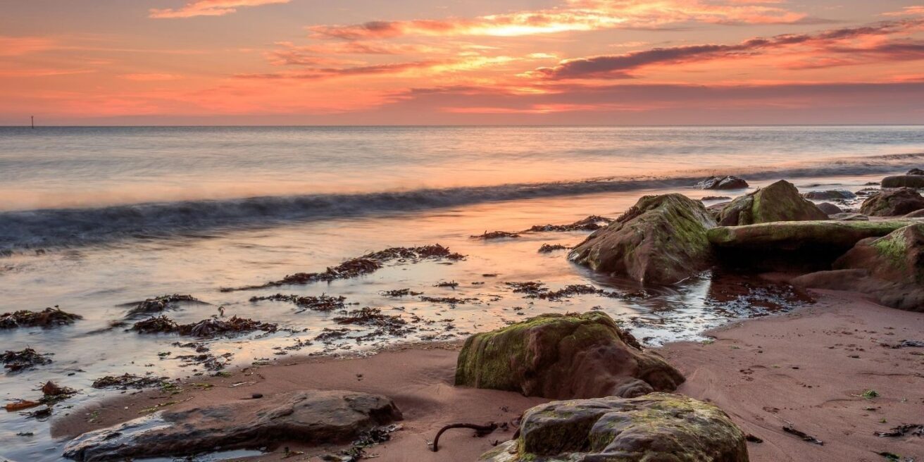 19 Interesting Facts About Rabbits - The Fact Site