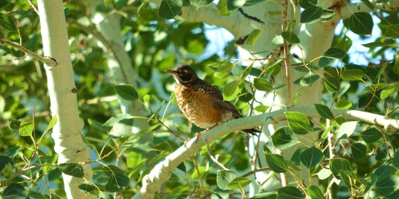 30 Interesting Facts About Tim Burton - The Fact Site