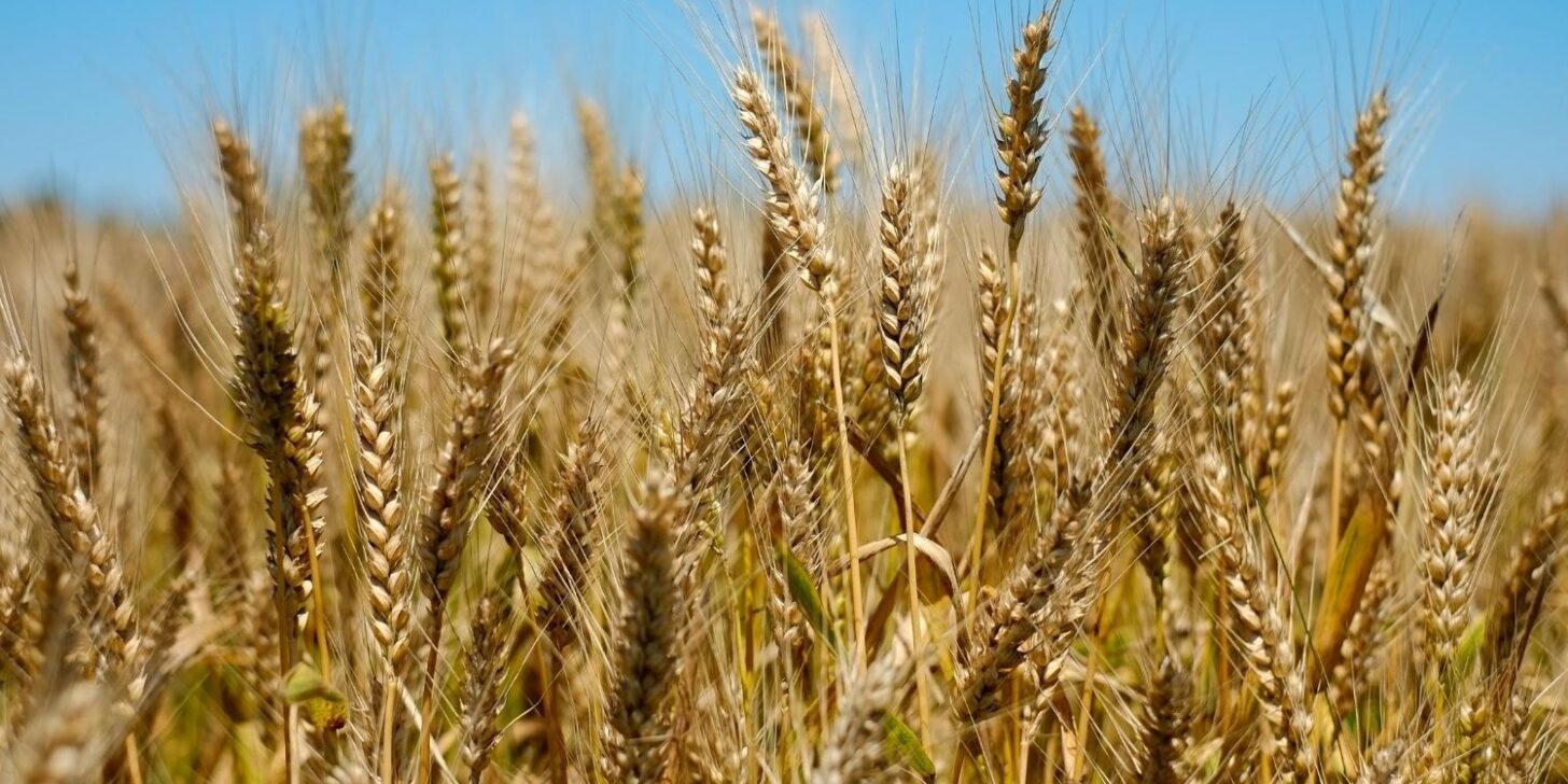 Facts About Xbox 360 - The Fact Site