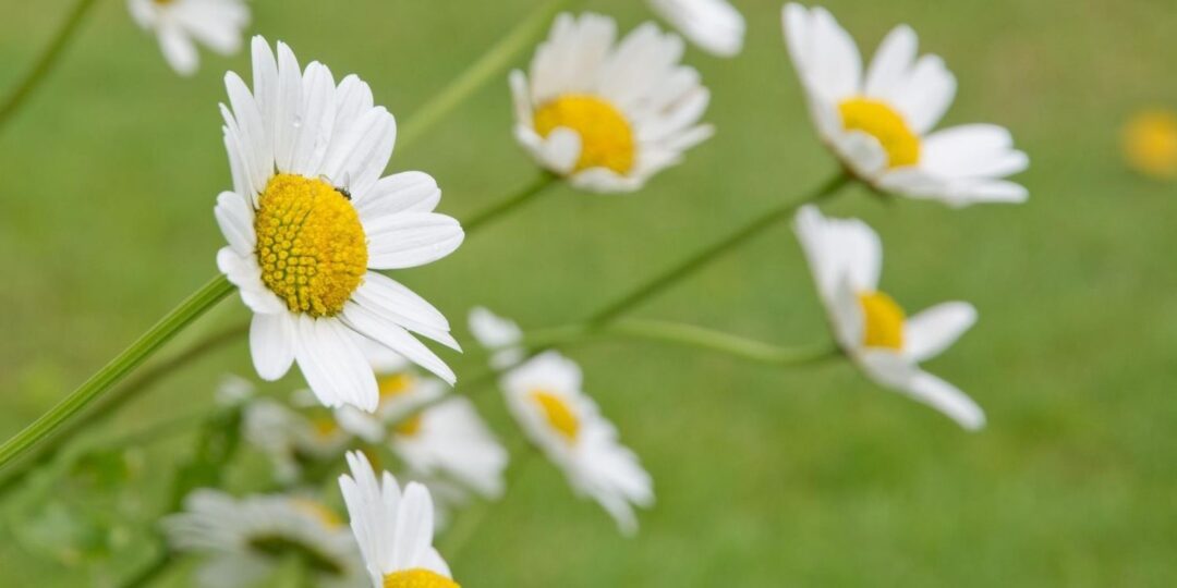 July 6: Facts & Historical Events On This Day - The Fact Site