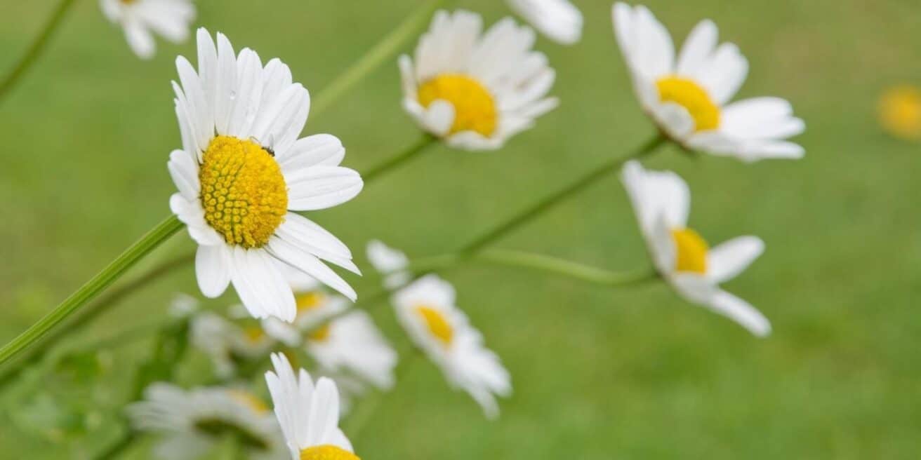 July 6: Facts & Historical Events On This Day - The Fact Site