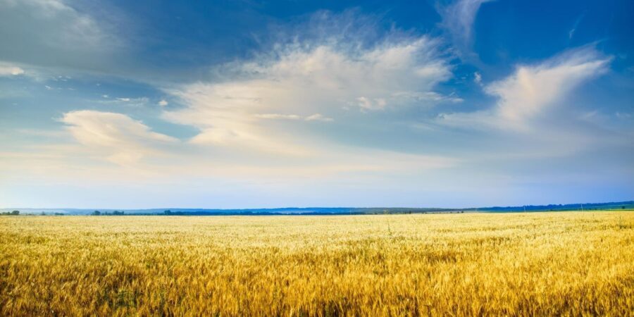 July 8: Facts & Historical Events On This Day - The Fact Site