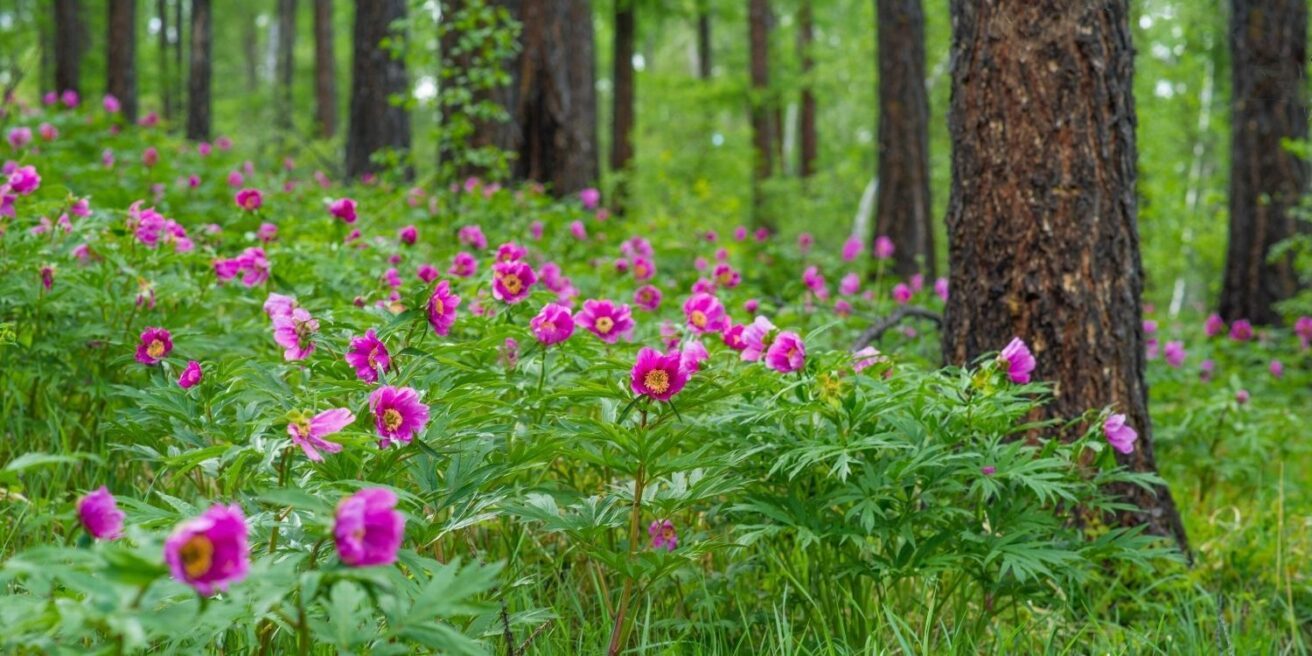 June 1: Facts & Historical Events On This Day - The Fact Site