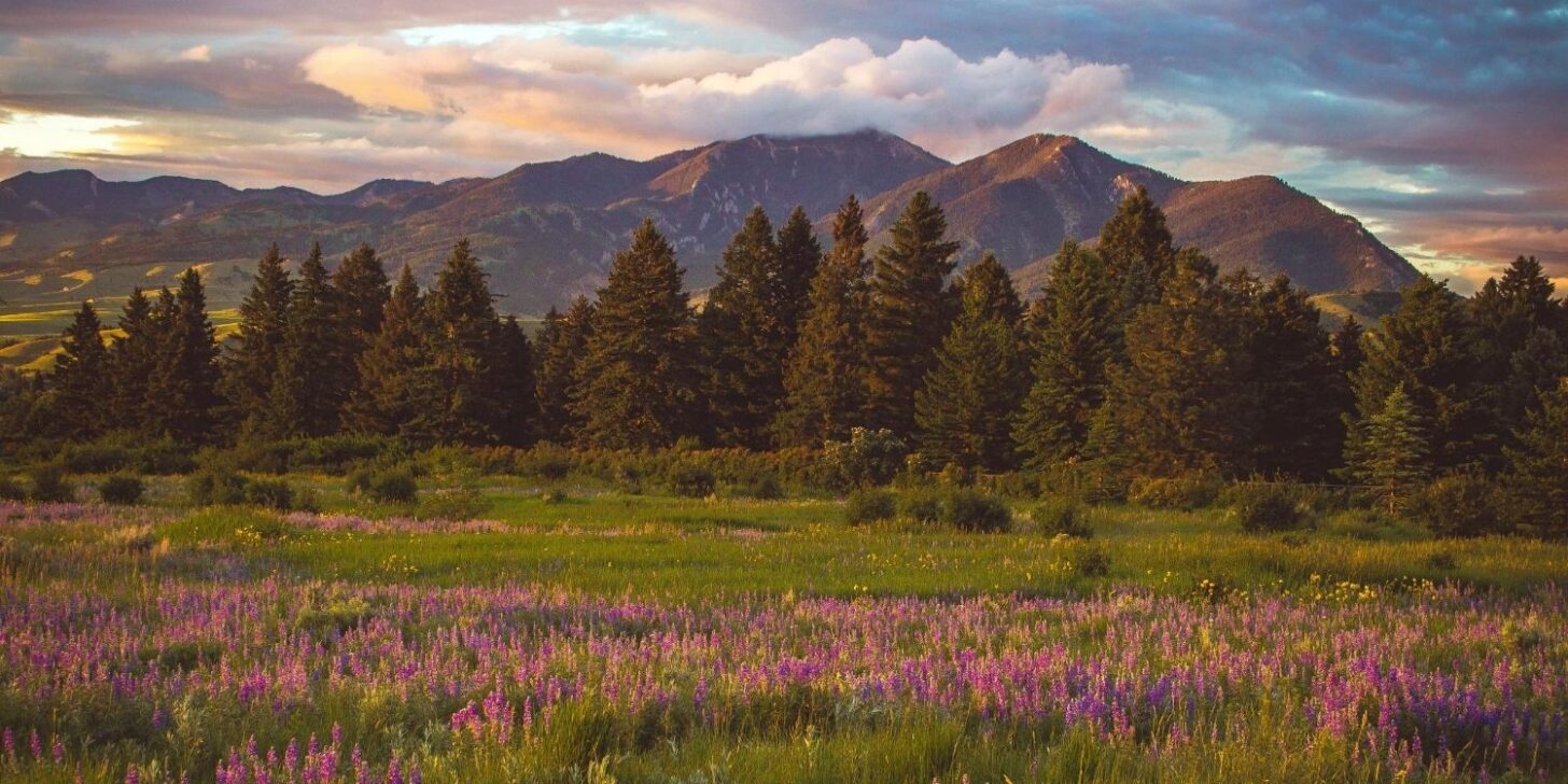 June 11: Facts & Historical Events On This Day - The Fact Site