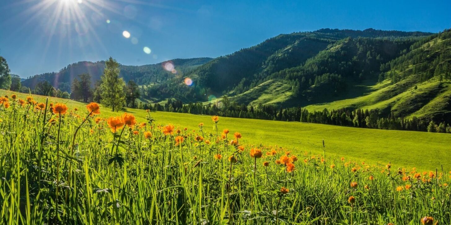 June 14: Facts & Historical Events On This Day - The Fact Site