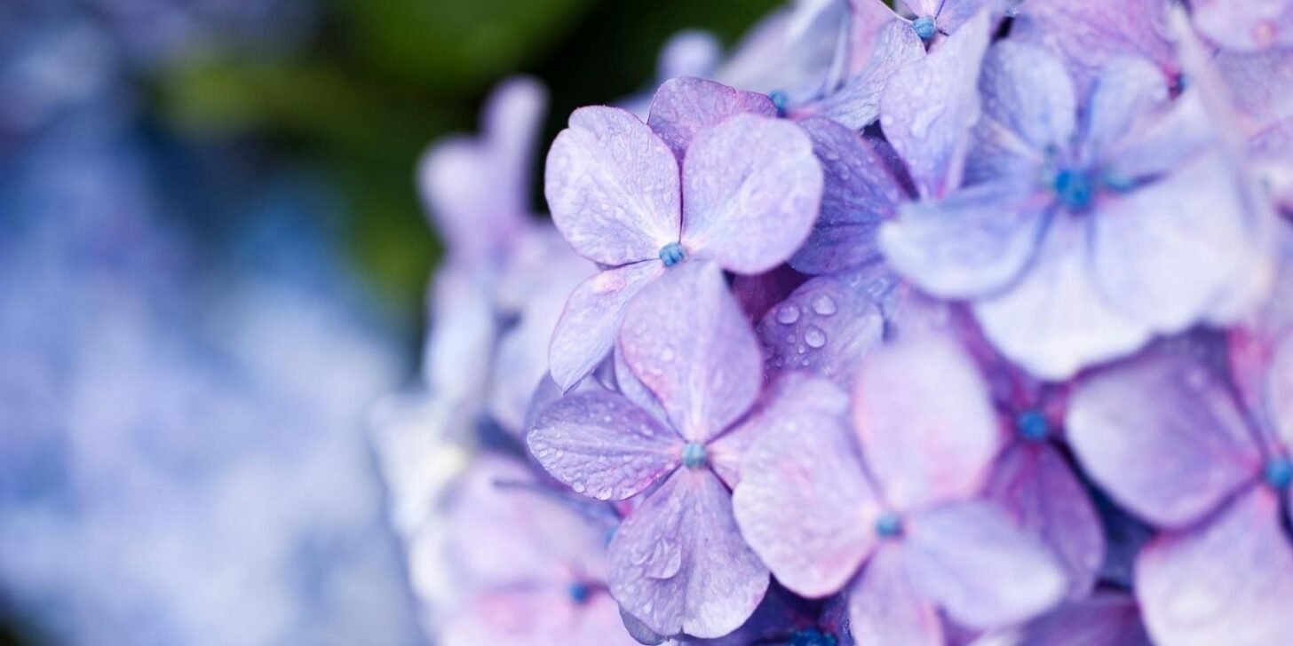 June 16: Facts & Historical Events On This Day - The Fact Site