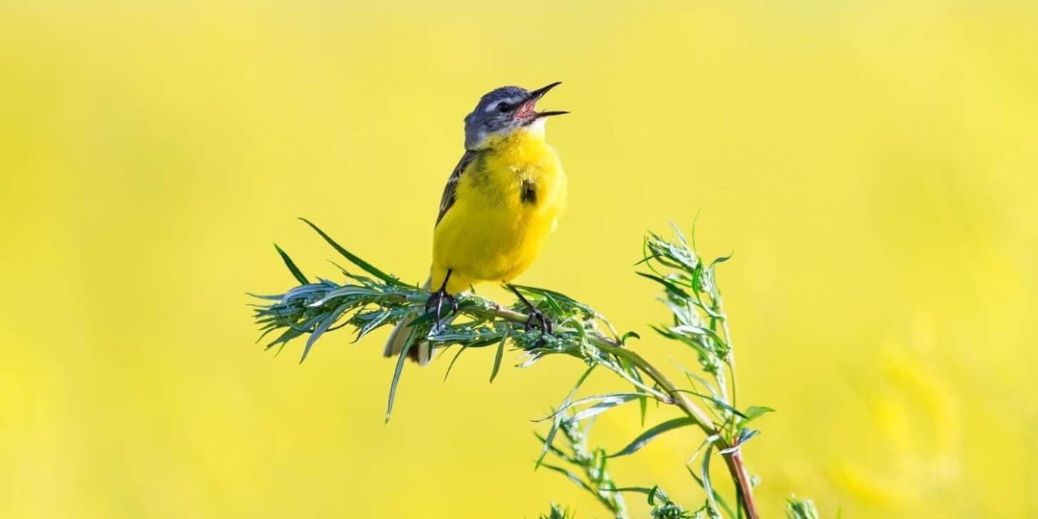 June 17: Facts & Historical Events On This Day - The Fact Site