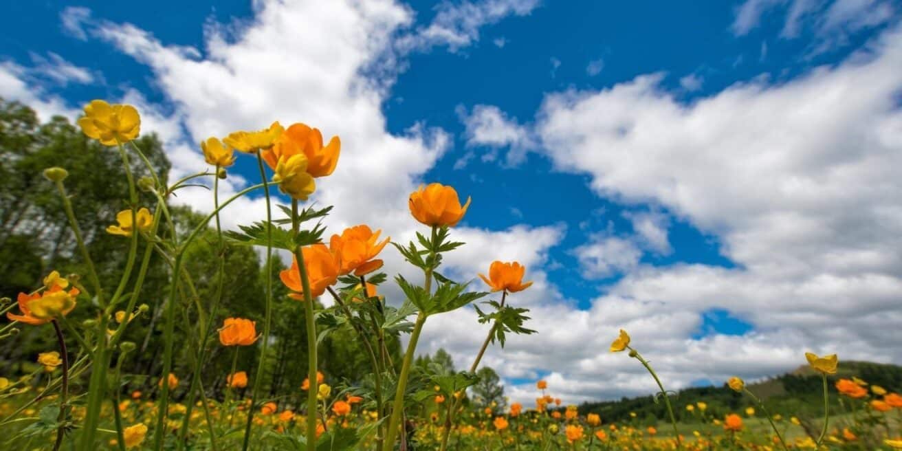 June 2: Facts & Historical Events On This Day - The Fact Site