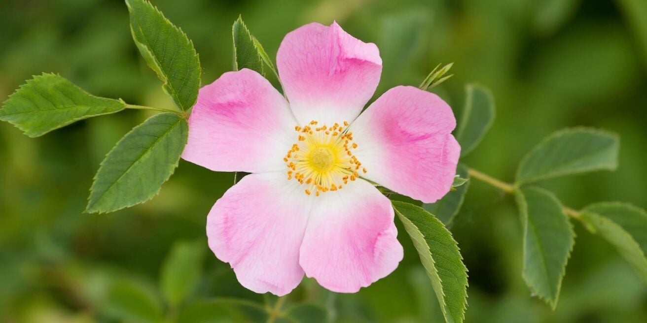 June 20: Facts & Historical Events On This Day - The Fact Site