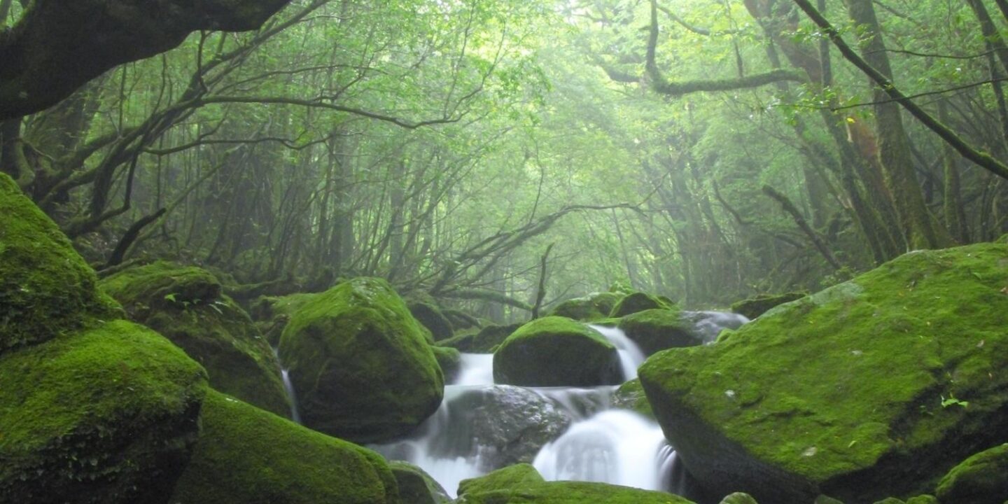 June 22: Facts & Historical Events On This Day - The Fact Site