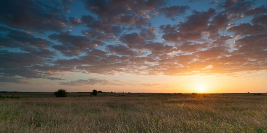 June 23: Facts & Historical Events On This Day - The Fact Site