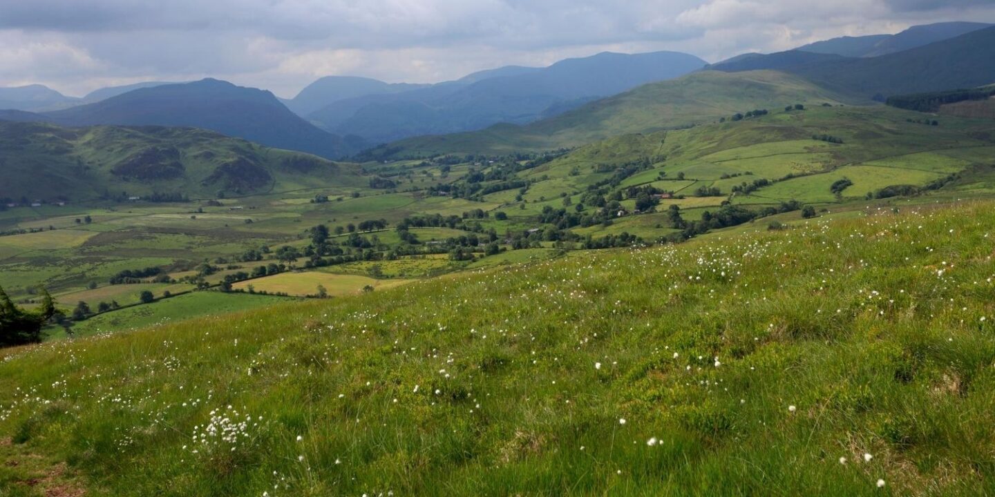 June 28: Facts & Historical Events On This Day - The Fact Site