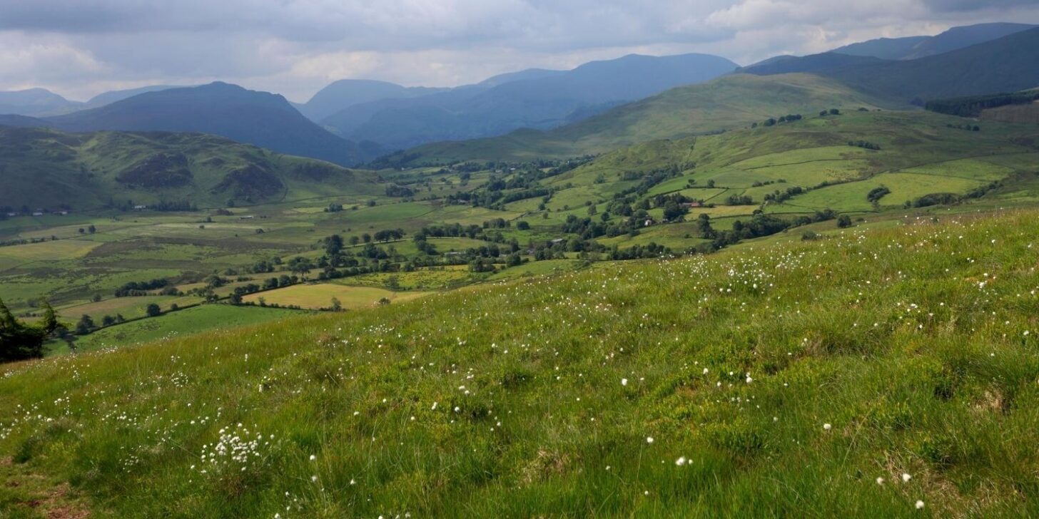 June 28: Facts & Historical Events On This Day - The Fact Site