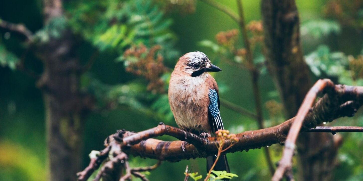 June 29: Facts & Historical Events On This Day - The Fact Site