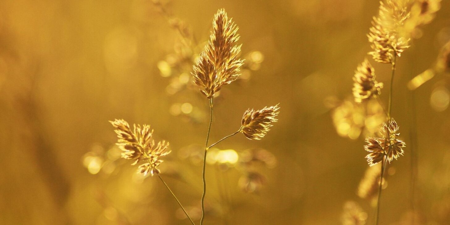 June 5: Facts & Historical Events On This Day - The Fact Site