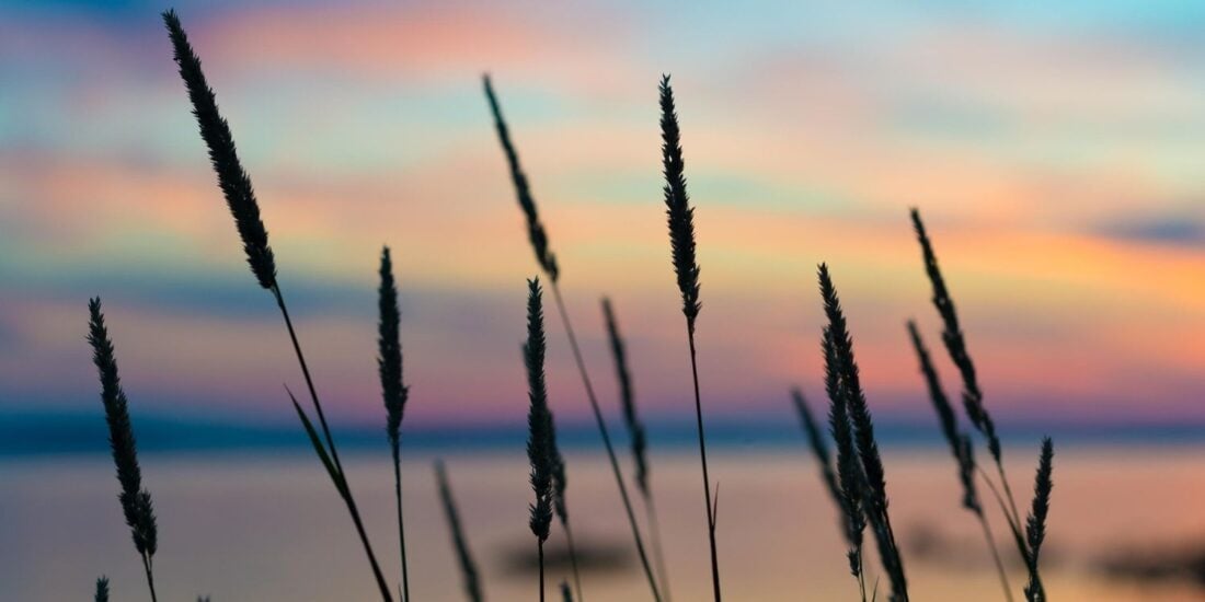 June 6: Facts & Historical Events On This Day - The Fact Site