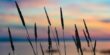 June 6: Facts & Historical Events On This Day - The Fact Site