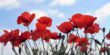 June 7: Facts & Historical Events On This Day - The Fact Site