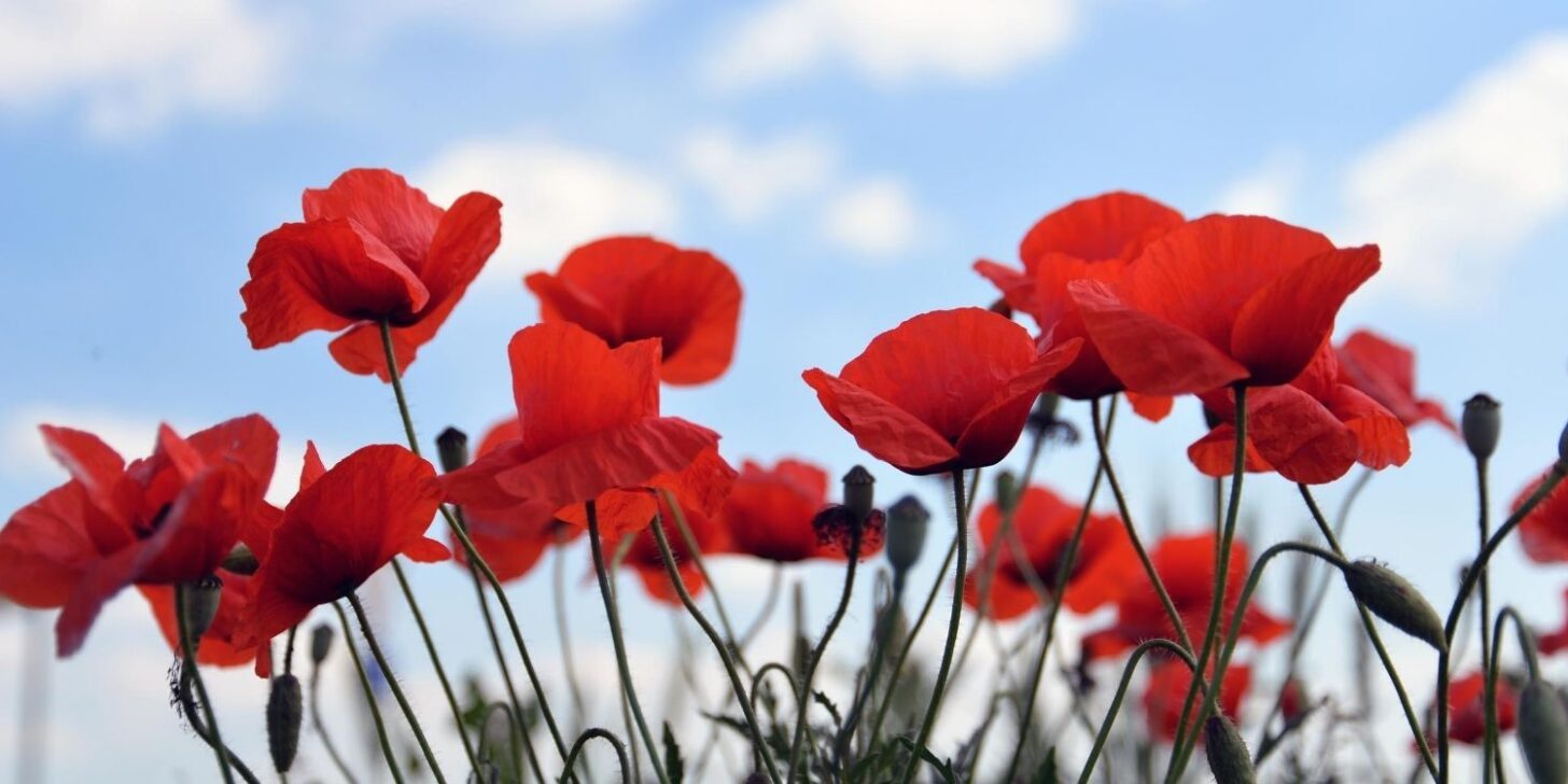 June 7: Facts & Historical Events On This Day - The Fact Site