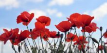 June 7: Facts & Historical Events On This Day - The Fact Site