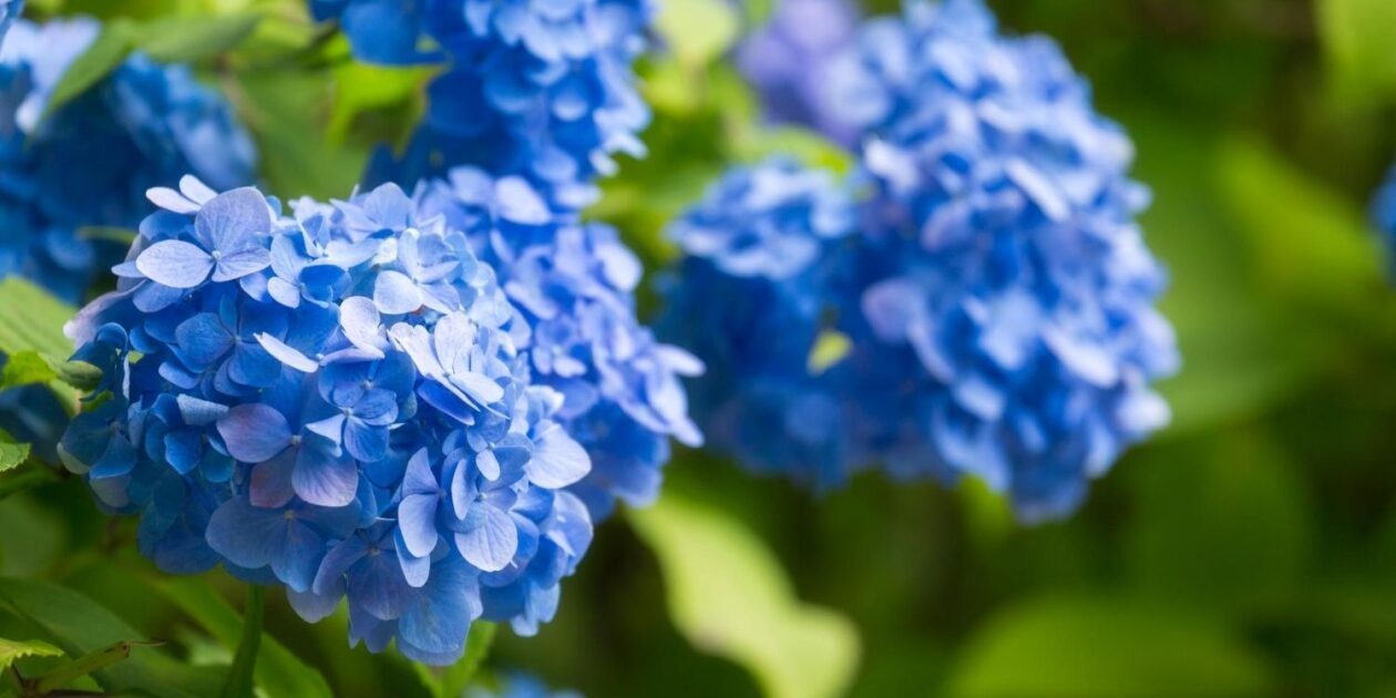 June 8: Facts & Historical Events On This Day - The Fact Site