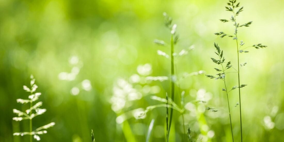 June 9: Facts & Historical Events On This Day - The Fact Site