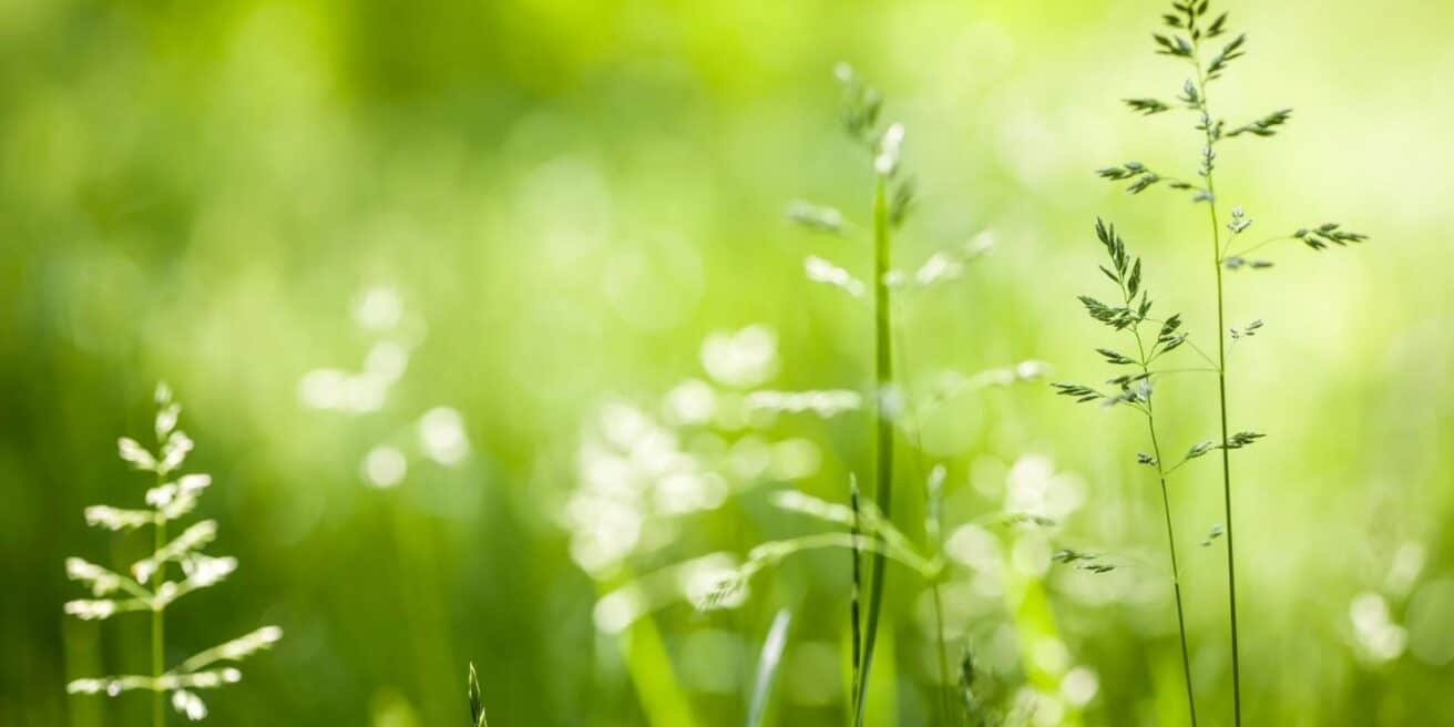 June 9: Facts & Historical Events On This Day - The Fact Site