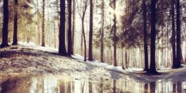 March 1: Facts & Historical Events On This Day - The Fact Site