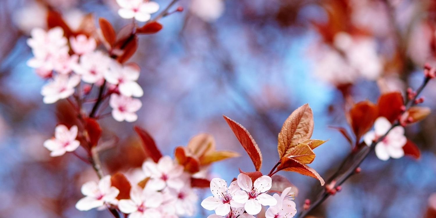 March 10: Facts & Historical Events On This Day - The Fact Site