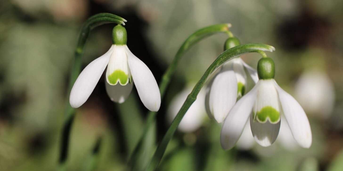 March 12: Facts & Historical Events On This Day - The Fact Site