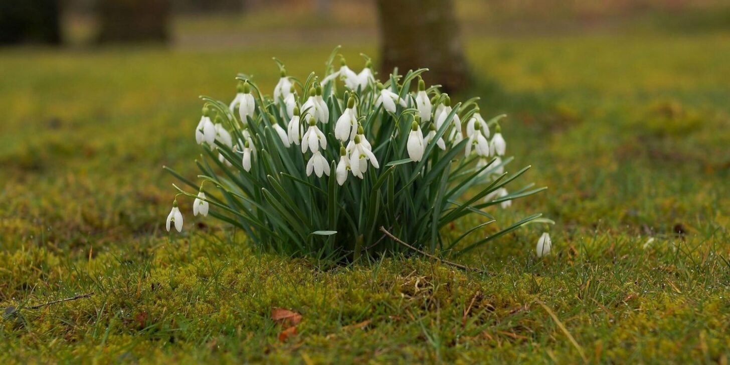 March 13: Facts & Historical Events On This Day - The Fact Site