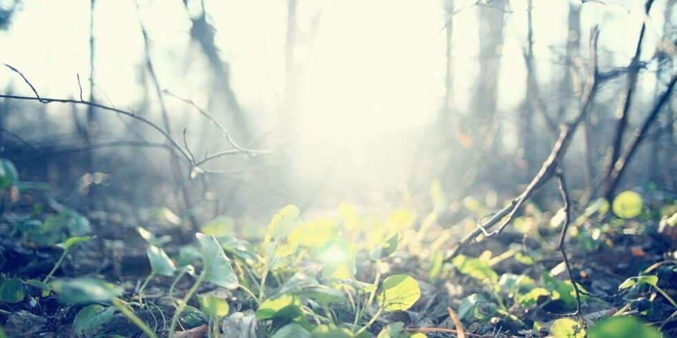 20 Interesting Facts About Lent - The Fact Site