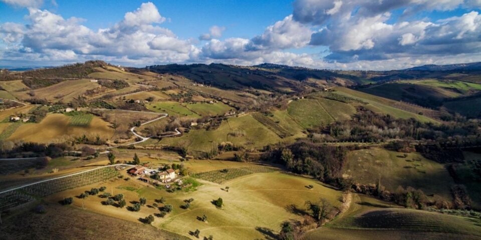 15 Cool Facts About Candy Canes - The Fact Site