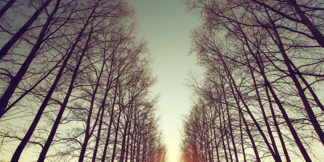 March 2: Facts & Historical Events On This Day - The Fact Site