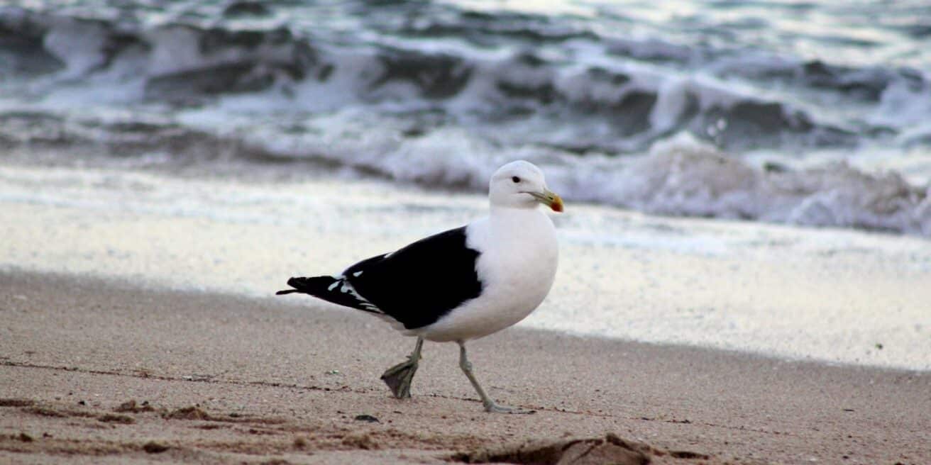 March 27: Facts & Historical Events On This Day - The Fact Site