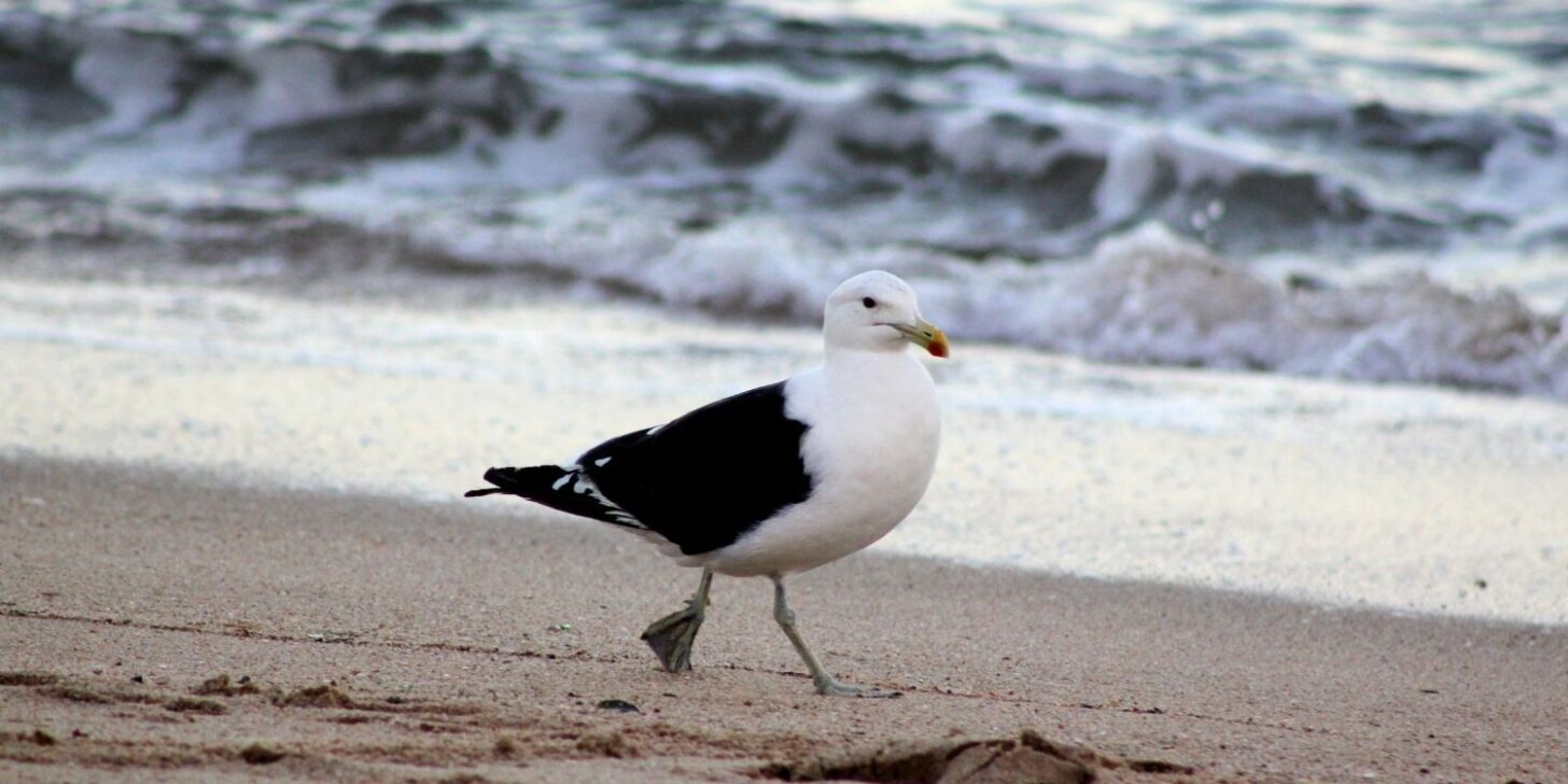 30 Facts About John Locke | LOST - The Fact Site