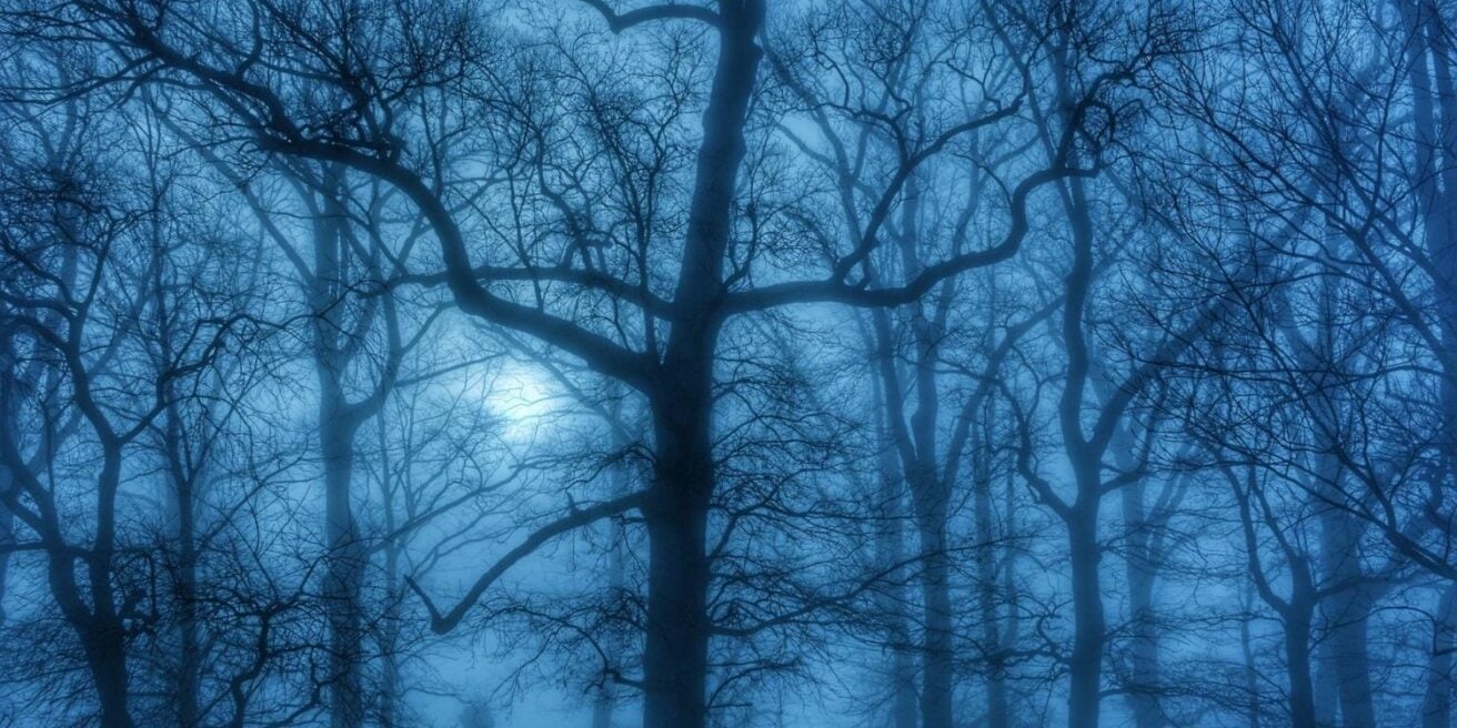 March 3: Facts & Historical Events On This Day - The Fact Site