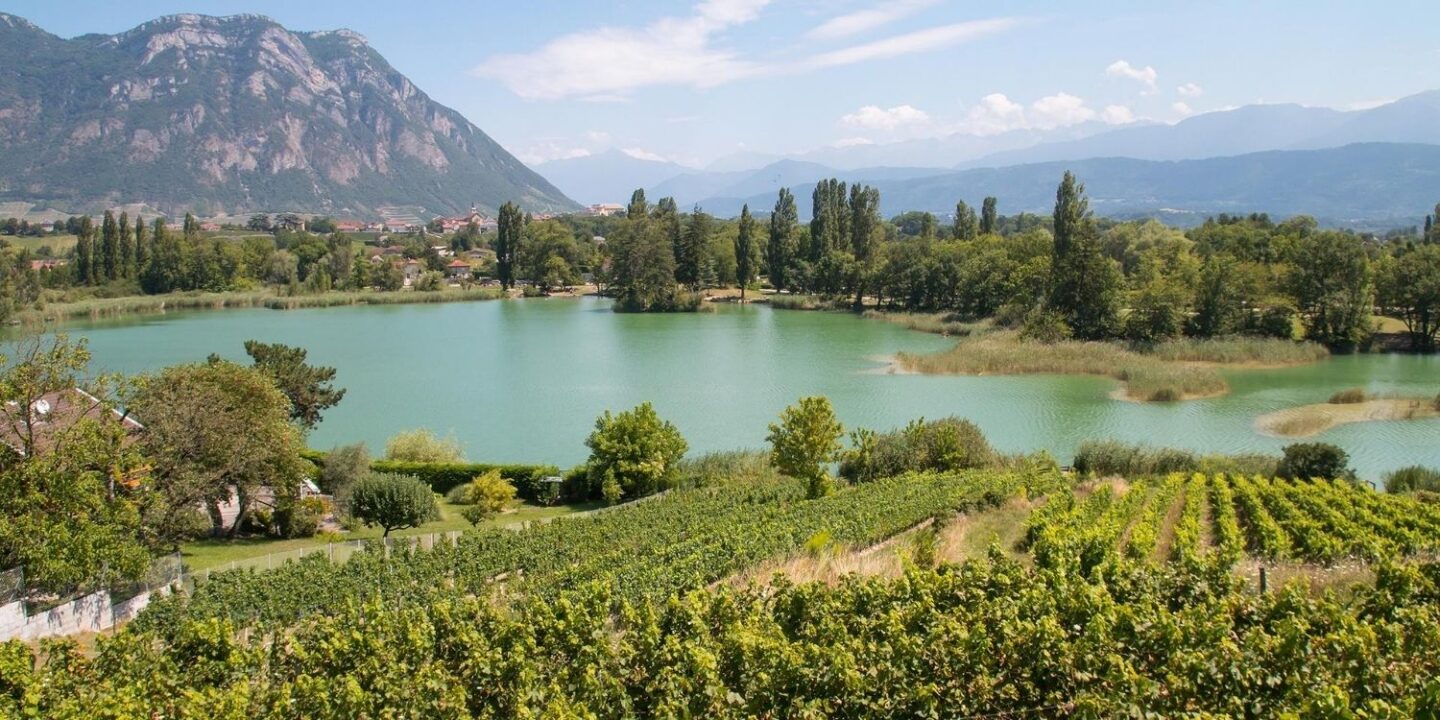 30 Surprising Facts About Microsoft - The Fact Site