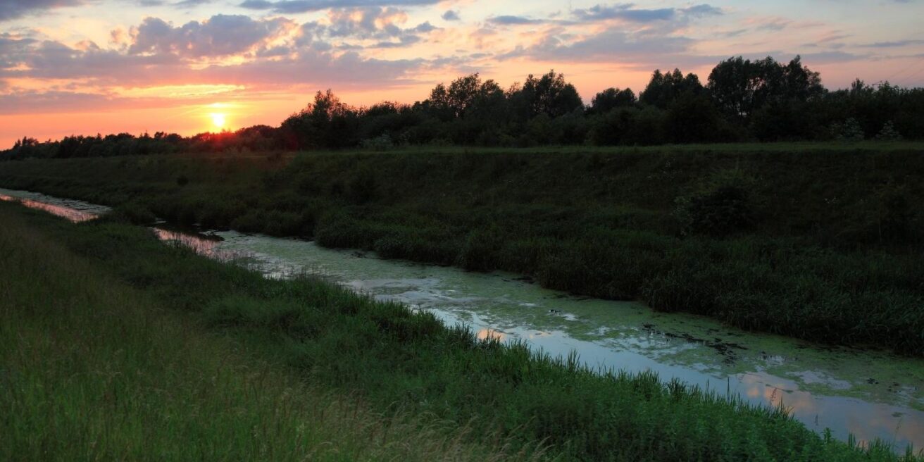 26 Facts You Didn't Know About Banksy - The Fact Site